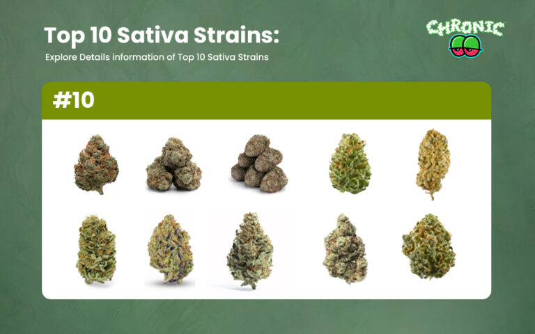 Top 10 Sativa strains - Chronic THCA